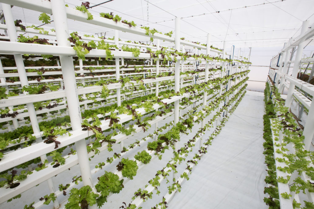 Indoor vertical farming is at the forefront of ‘new’ infra