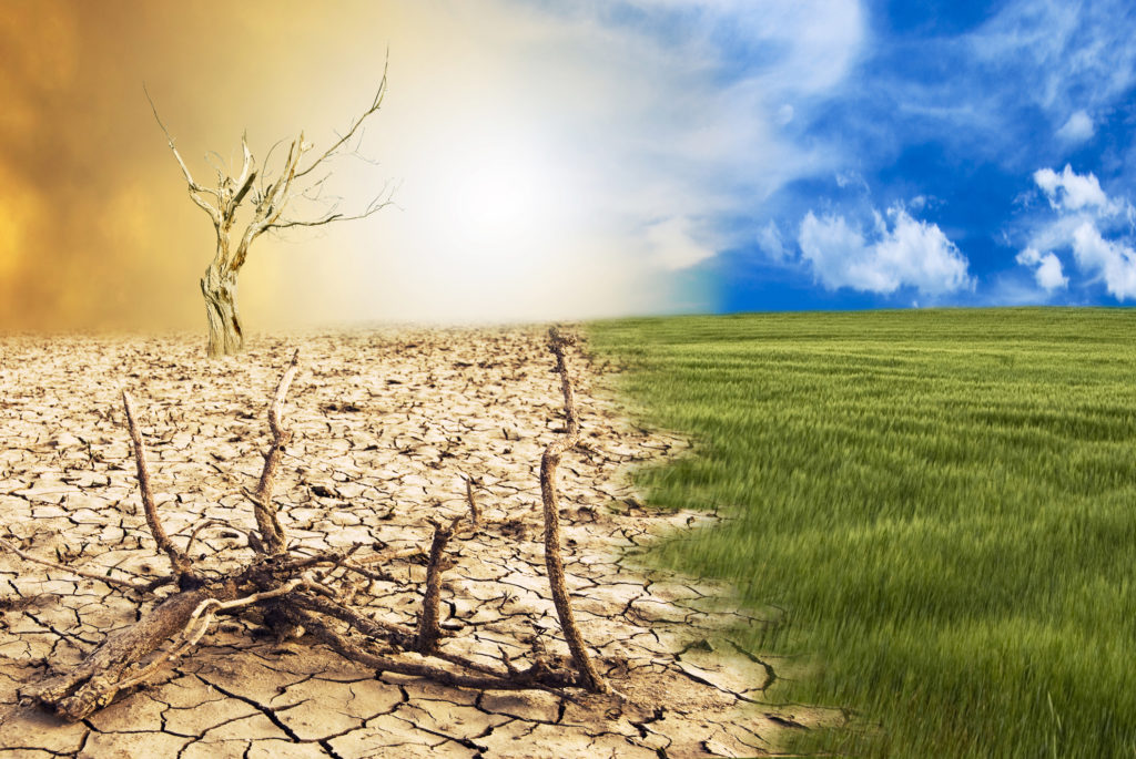 A GP’s framework to fight climate change