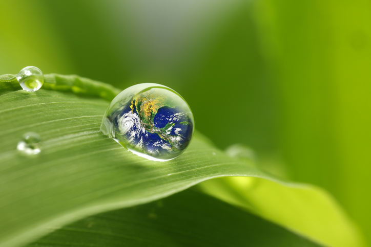 Palisade launches impact investing platform | Infrastructure Investor