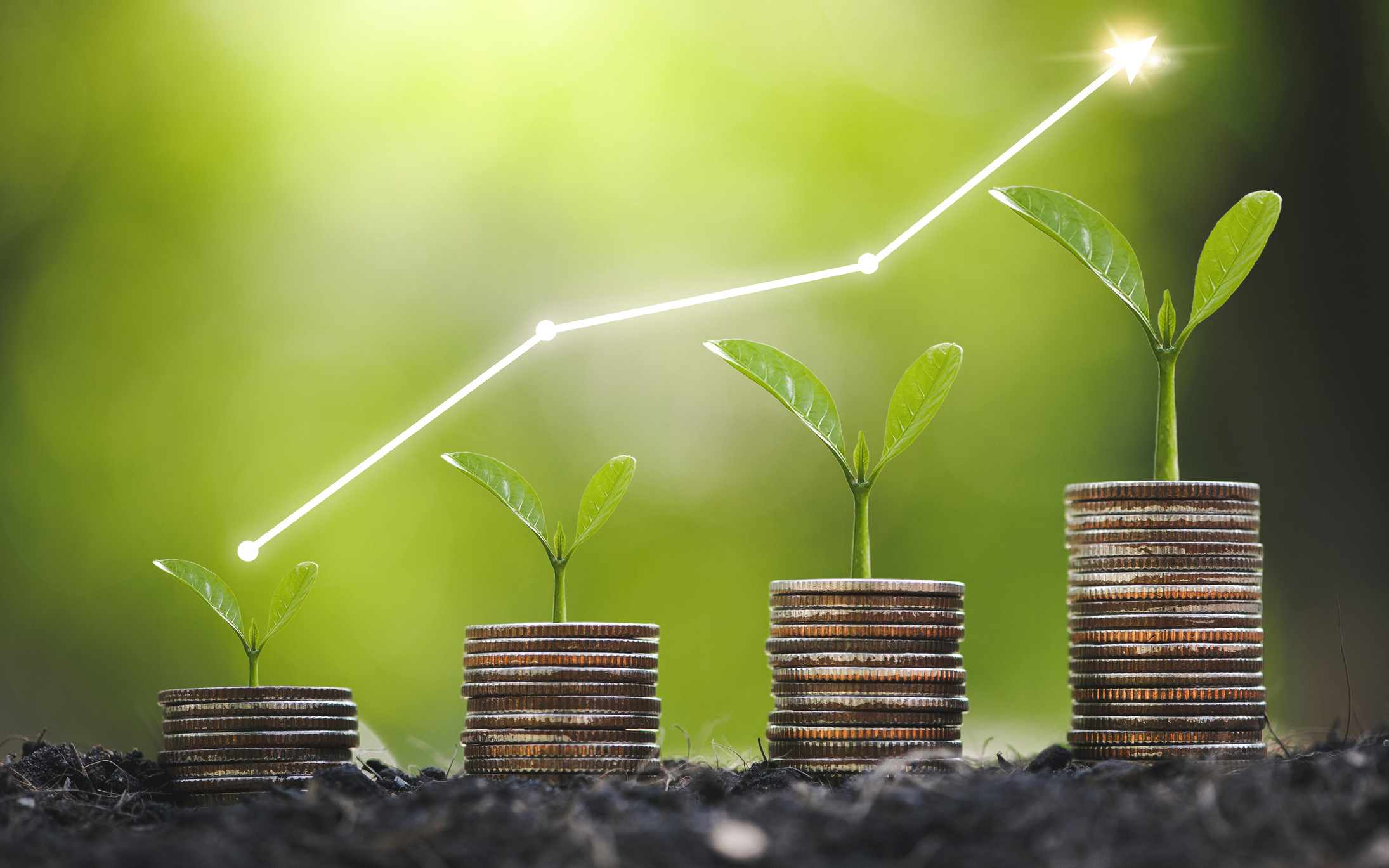 Green fundraising bloomed in 2023