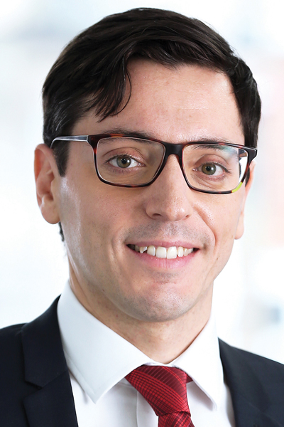 Capital Dynamics on the additionality allure in renewables