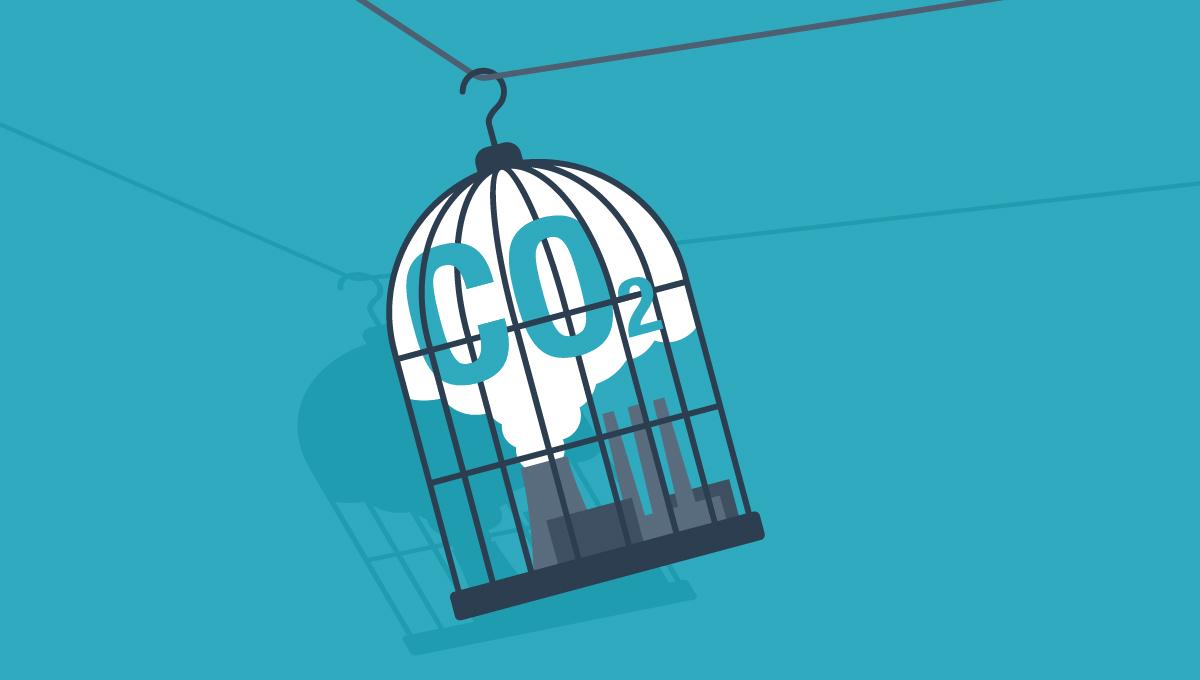 Gravis Capital Management on why GP-LP collaboration is vital for SFDR ...