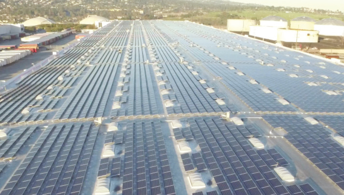 Distributed solar: A generational opportunity, says True Green Capital ...