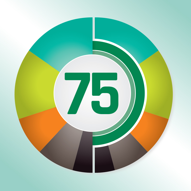 Infrastructure Investor Global Investor 75 Ranking